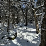 Balsam Lake Mountain via Dry Brook Ridge Trail, New York - 929 Reviews ...