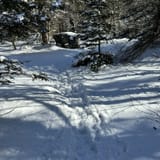 Balsam Lake Mountain via Dry Brook Ridge Trail, New York - 929 Reviews ...