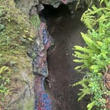 Dames Cave, Florida - 626 Reviews, Map | AllTrails