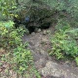 Dames Cave, Florida - 626 Reviews, Map | AllTrails