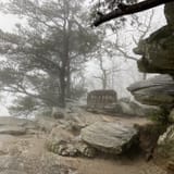 (Doug Ghee) Bald Rock Boardwalk, Alabama - 540 Reviews, Map | AllTrails