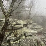 (Doug Ghee) Bald Rock Boardwalk, Alabama - 540 Reviews, Map | AllTrails