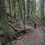 Alger Alps, Washington - 514 Reviews, Map | AllTrails