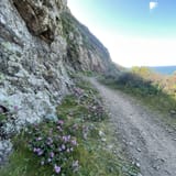 Old Colma Road Loop, California - 1,888 Reviews, Map | AllTrails