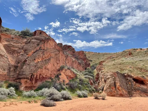 10 Best Long Trails in Red Cliffs National Conservation Area | AllTrails