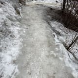 Lava Lake Trail, Montana - 2,929 Reviews, Map | AllTrails