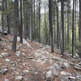 Lava Lake Trail, Montana - 2,929 Reviews, Map | AllTrails