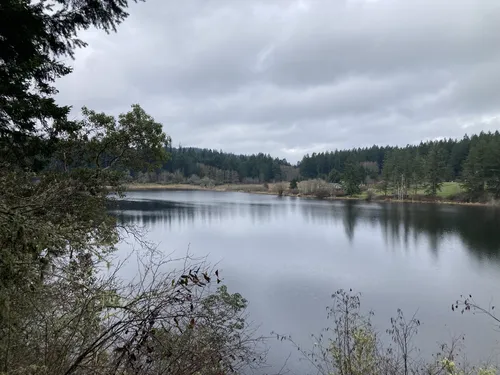 Best Hikes and Trails in Anderson Lake State Park | AllTrails
