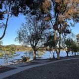 Lake Miramar Trail, California - 3,651 Reviews, Map | AllTrails