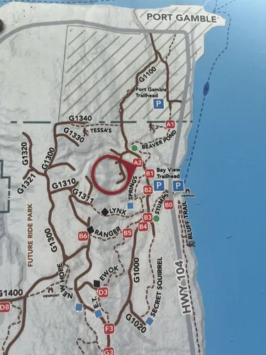 Best Wild Flowers Trails in Port Gamble Forest Heritage Park | AllTrails