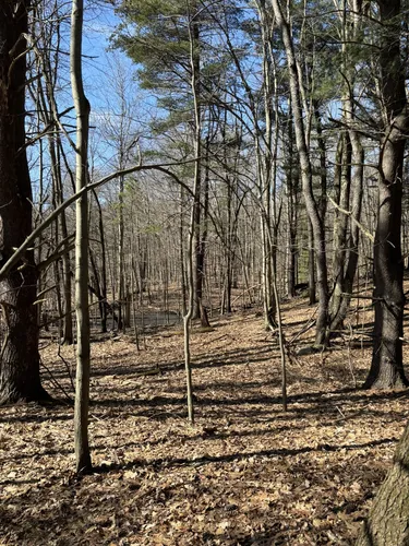 Best Hikes and Trails in Addison Oaks County Park | AllTrails