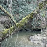 Big Berea Trail, Bull Creek Trail, and White Pine Loop, North Carolina ...