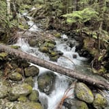 Upper Big Creek Loop, Washington - 2,579 Reviews, Map | AllTrails