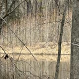 Cash Lake Loop Trail, Maryland - 1,144 Reviews, Map | AllTrails