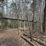 Cash Lake Loop Trail, Maryland - 1,144 Reviews, Map | AllTrails