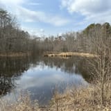 Cash Lake Loop Trail, Maryland - 1,144 Reviews, Map | AllTrails
