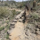 Ruth Hamilton Trail, Arizona - 2,692 Reviews, Map | AllTrails