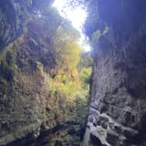 Patuna Chasm Walk, Wellington, New Zealand - 29 Reviews, Map | AllTrails