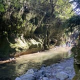 Patuna Chasm Walk, Wellington, New Zealand - 29 Reviews, Map | AllTrails