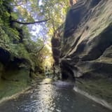 Patuna Chasm Walk, Wellington, New Zealand - 29 Reviews, Map | AllTrails