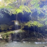 Patuna Chasm Walk, Wellington, New Zealand - 29 Reviews, Map | AllTrails