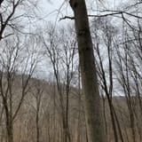 Patton Cave via Hayes and Patton Cave Trail, Indiana - 290 Reviews, Map ...