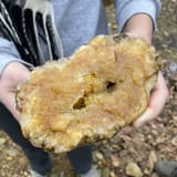 Patton Cave via Hayes and Patton Cave Trail, Indiana - 401 Reviews, Map ...