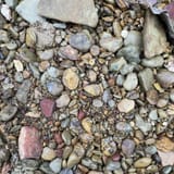 Patton Cave via Hayes and Patton Cave Trail, Indiana - 401 Reviews, Map ...