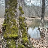 Patton Cave via Hayes and Patton Cave Trail, Indiana - 401 Reviews, Map ...