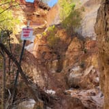 Canyon Loop Trail, Georgia - 2,115 Reviews, Map | AllTrails