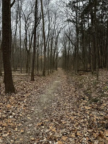 Best Hikes and Trails in Leopold | AllTrails