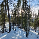 Elbow Valley Riverview Trail, Alberta, Canada - 140 Reviews, Map ...