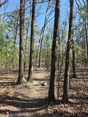 Best Walking Trails in Tahlequah | AllTrails