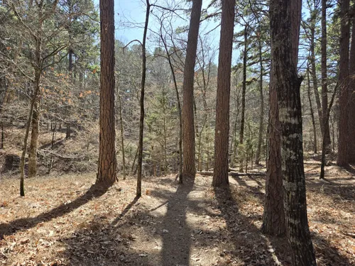 Best Walking Trails in Tahlequah | AllTrails