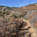 Stultz Trail, Colorado - 121 Reviews, Map | AllTrails