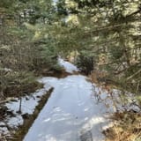 Stultz Trail, Colorado - 121 Reviews, Map | AllTrails