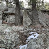 Stultz Trail, Colorado - 121 Reviews, Map | AllTrails