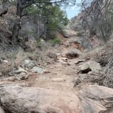 Haynes Ridge and Upper North Prong Trail Loop, Texas - 881 Reviews, Map ...