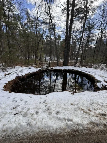 Best Hikes and Trails in Pulaski State Park | AllTrails