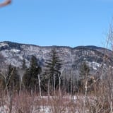 Lower Bear Notch Road Loop, New Hampshire - 19 Reviews, Map | AllTrails