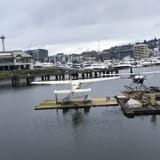 Cheshiahud Lake Union Loop, Washington - 1,572 Reviews, Map | AllTrails