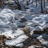 Lower Bear Notch Road Loop, New Hampshire - 19 Reviews, Map | AllTrails