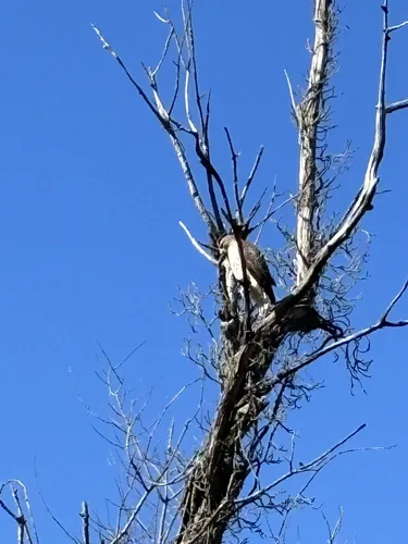 Best Hikes and Trails in Bath Nature Preserve | AllTrails