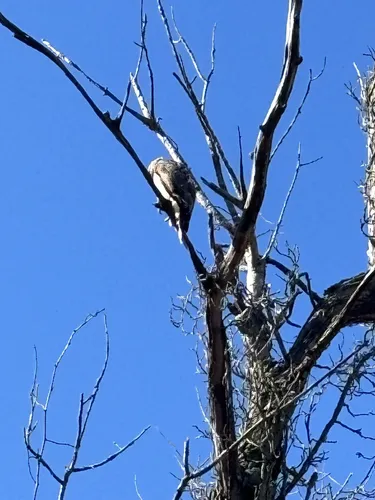 Best Hikes and Trails in Bath Nature Preserve | AllTrails