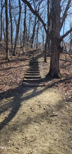 Best Hikes and Trails in Pinicon Ridge County Park | AllTrails