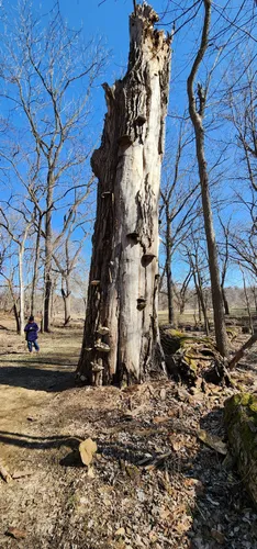 Best Hikes and Trails in Pinicon Ridge County Park | AllTrails