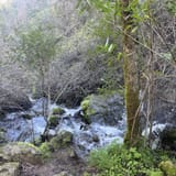 Waterfalls of Mount Diablo Loop, California - 2,107 Reviews, Map ...