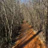 Canyon Loop Trail, Georgia - 2,115 Reviews, Map | AllTrails