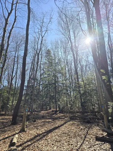 Best Hikes and Trails in Innerkip | AllTrails