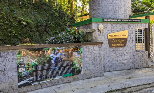 Best Hikes and Trails in Toro Negro State Forest | AllTrails